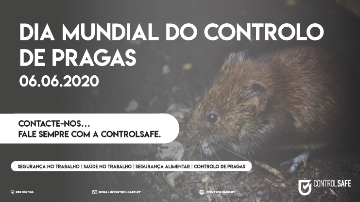 Dia Mundial do Controlo de Pragas – Controlsafe